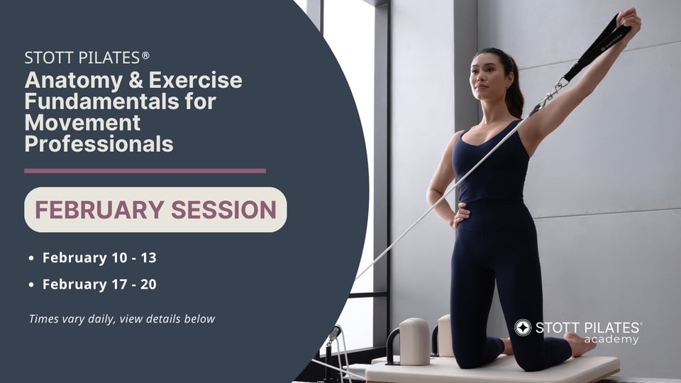 Anatomy & Exercise Fundamentals for Movement Professionals