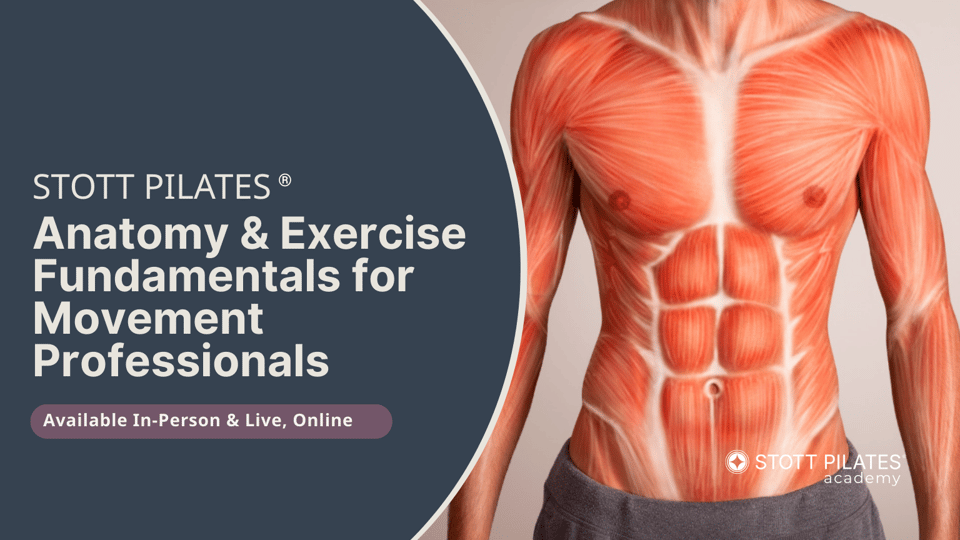 Anatomy & Exercise Fundamentals for Movement Professionals